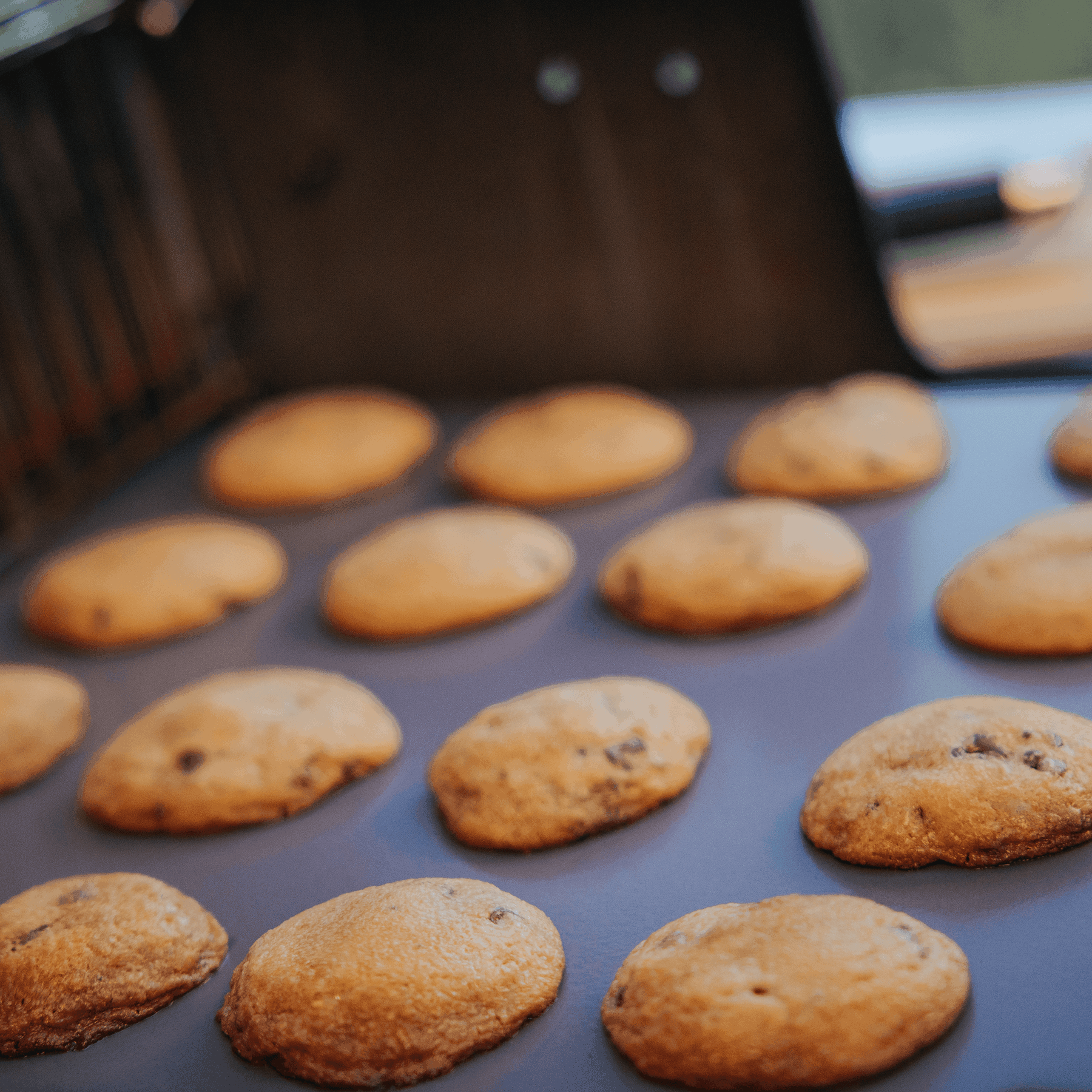 WEBER CRAFTED Pizza Stone | Cooking | Gourmet BBQ System | Weber Grills