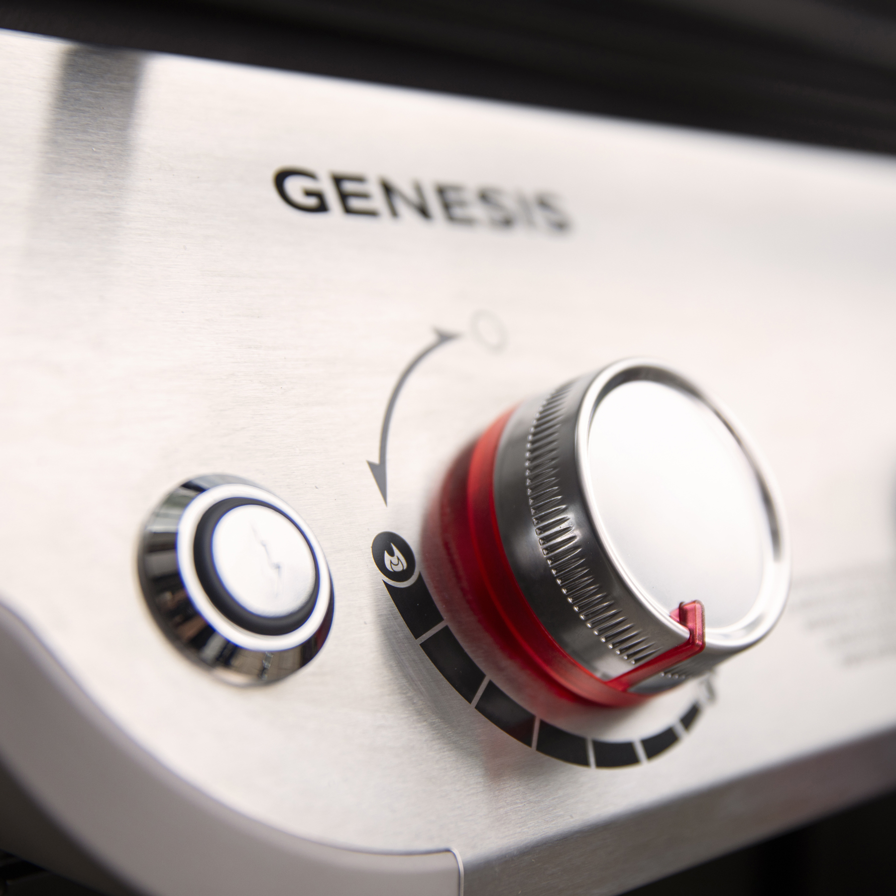 GENESIS E-315 Gas Grill (Liquid Propane)
